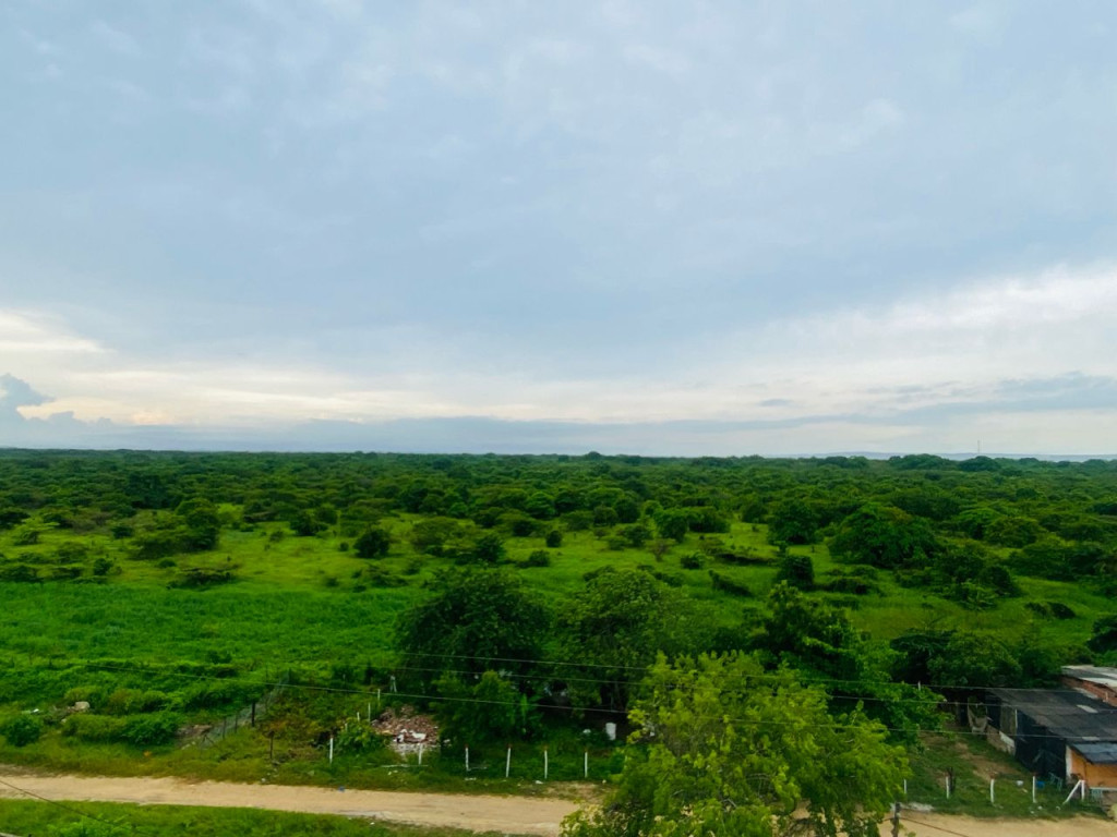 Inmuebles de tu búsqueda | Arenas Inmobiliaria