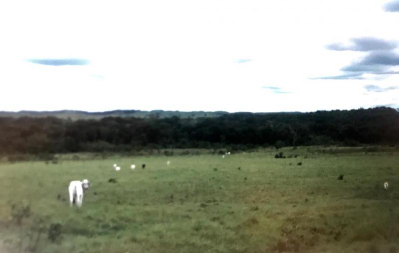 FINCA EN VENTA EN Puerto López - GoJom.co